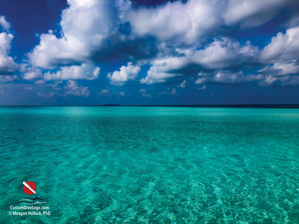 Photos – Custom Dive Logs