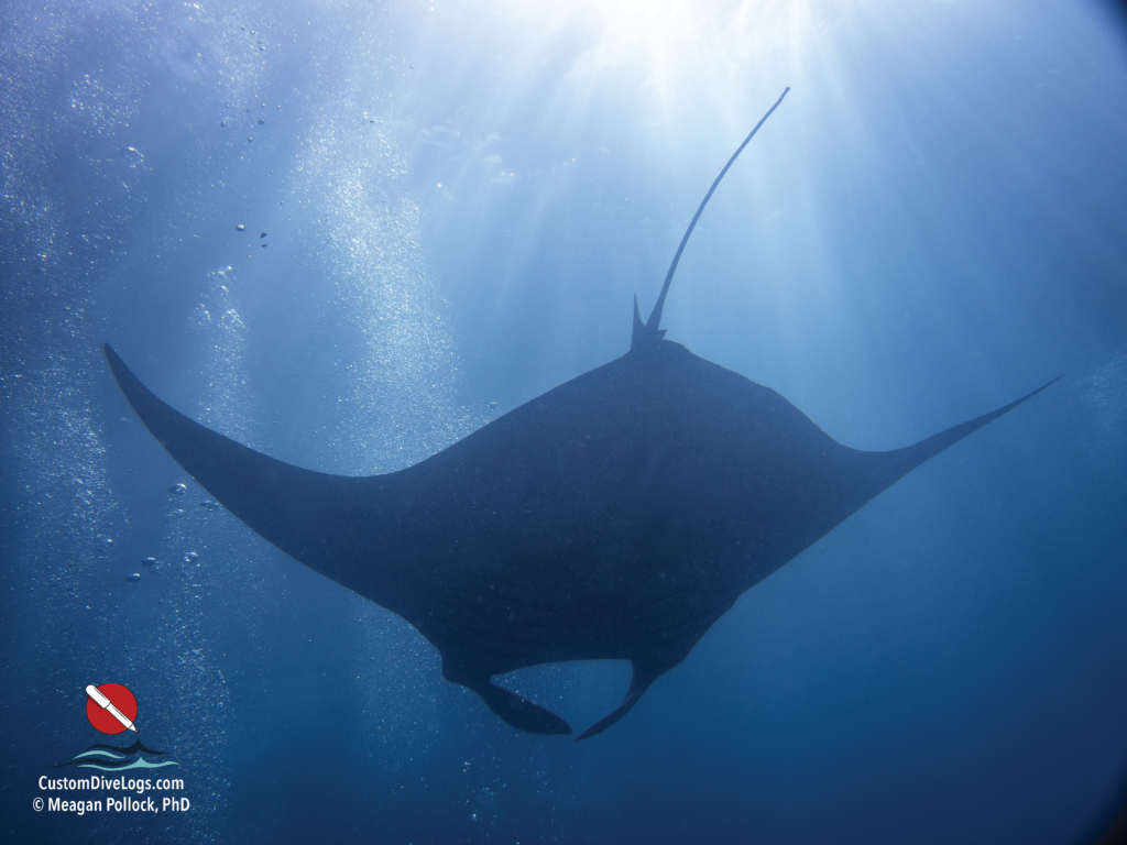 Photos – Custom Dive Logs