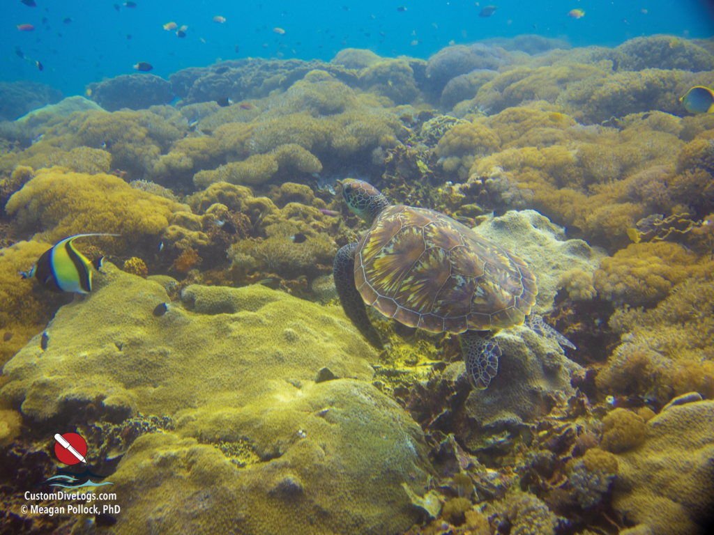 Photos – Custom Dive Logs